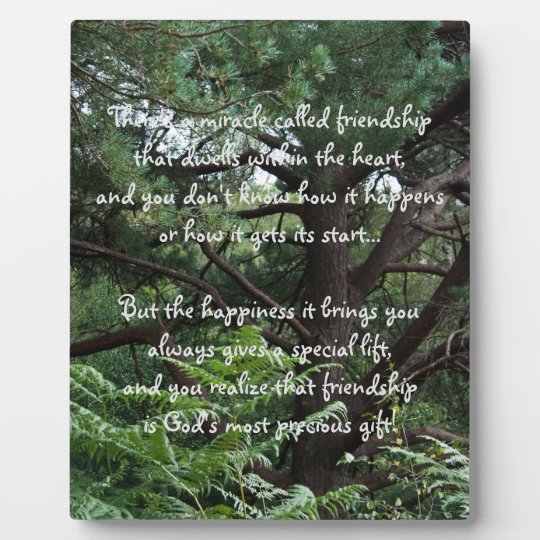 Miracle of friendship Poem Plaque | Zazzle.com