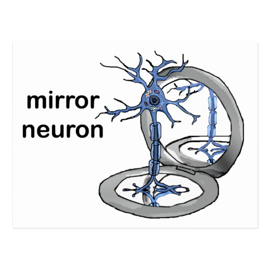 Mirror Neuron Postcard | Zazzle.com