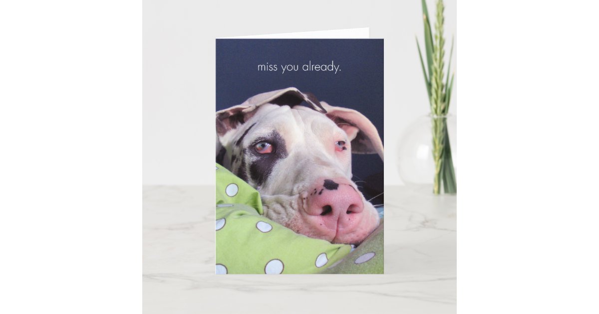 Miss You Already Card | Zazzle