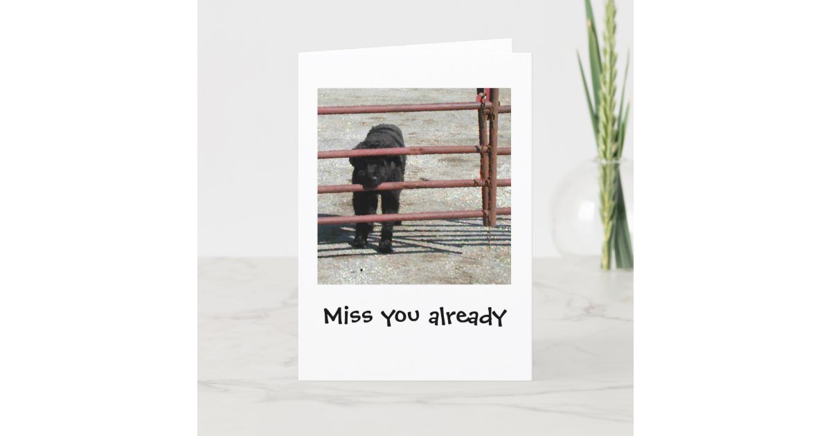 Miss you already card | Zazzle