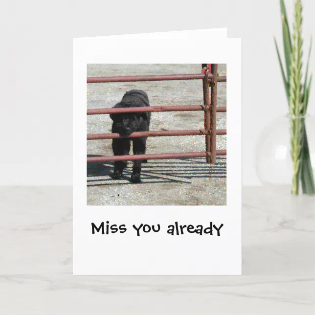 Miss you already card | Zazzle