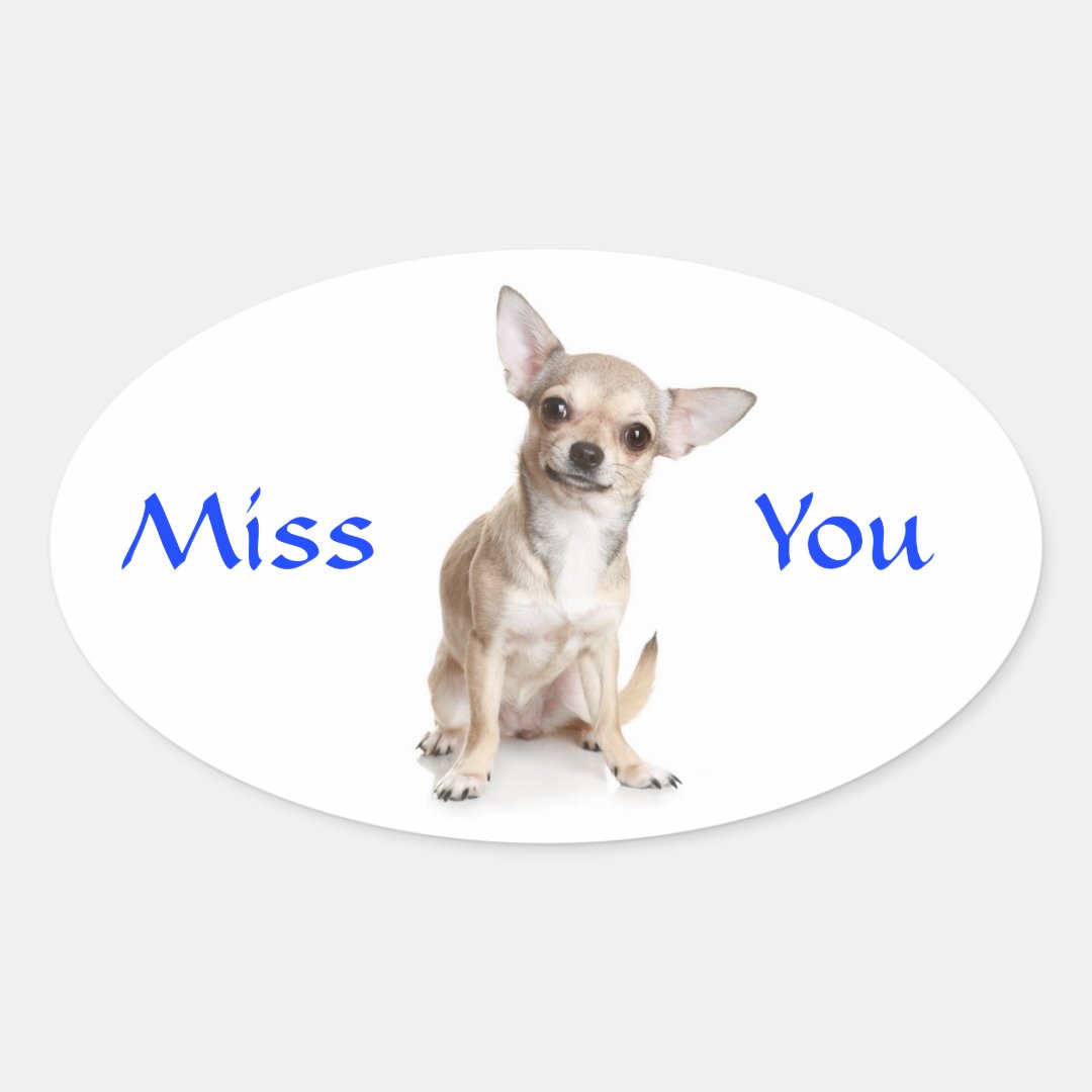 Miss You Chihuahua Puppy Sticker | Zazzle