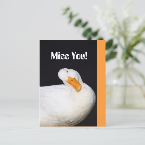 Miss You! Cute White Duck Postcard | Zazzle