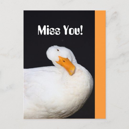 Miss You! Cute White Duck Postcard | Zazzle.com