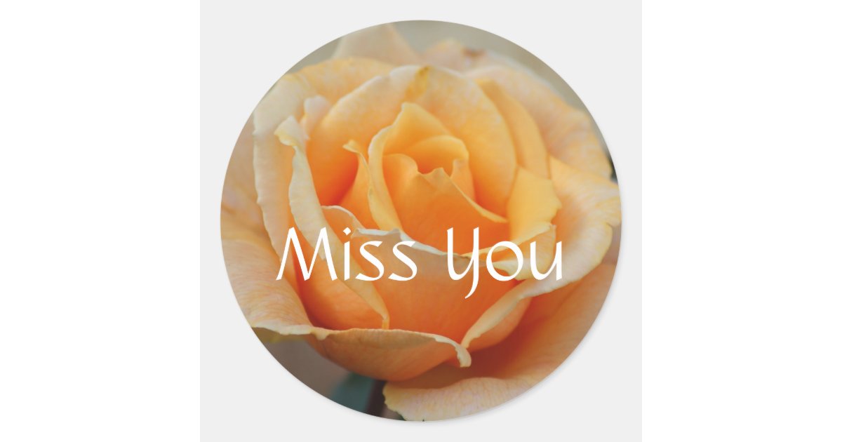 Miss you, rose in Peach Classic Round Sticker | Zazzle