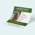 Missing Pet | Modern Green Photo Poster Flyer | Zazzle