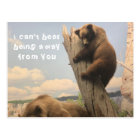 Miss You! Cute White Duck Postcard | Zazzle.com