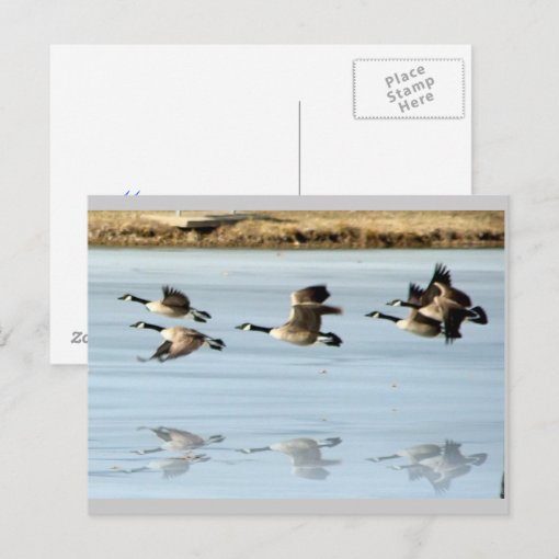 Missing you Postcard | Zazzle