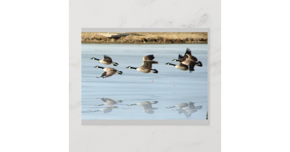 Missing you Postcard | Zazzle