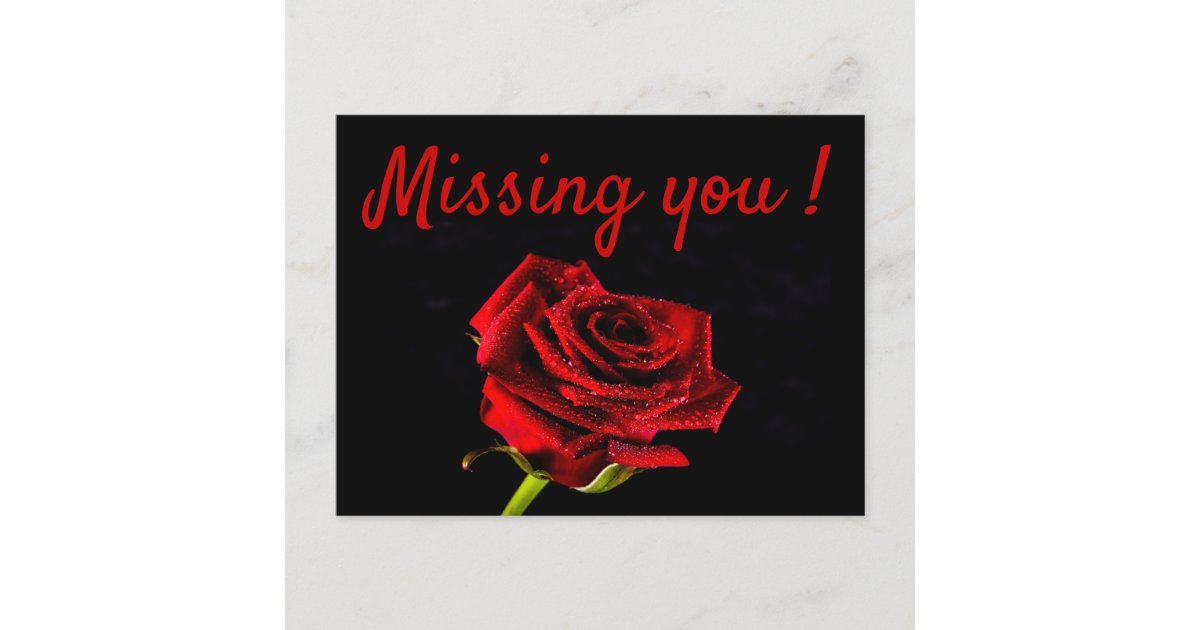Missing you romantic red rose photo postcard | Zazzle