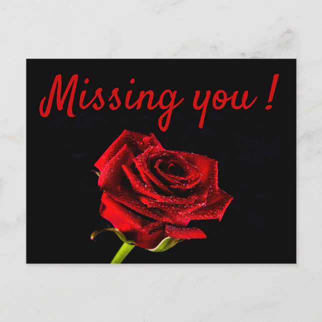 Missing you romantic red rose photo postcard | Zazzle