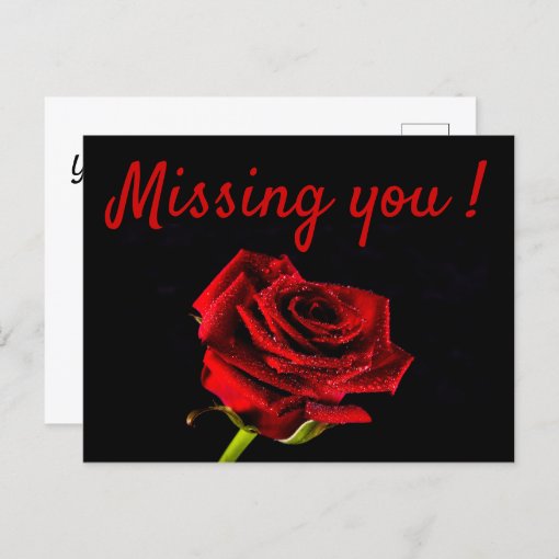 Missing you romantic red rose photo postcard | Zazzle