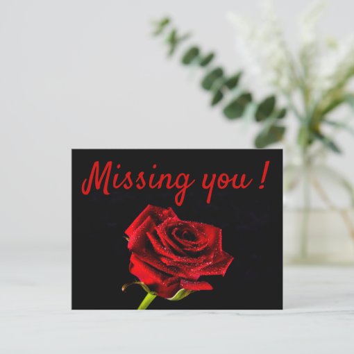 Missing you romantic red rose photo postcard | Zazzle