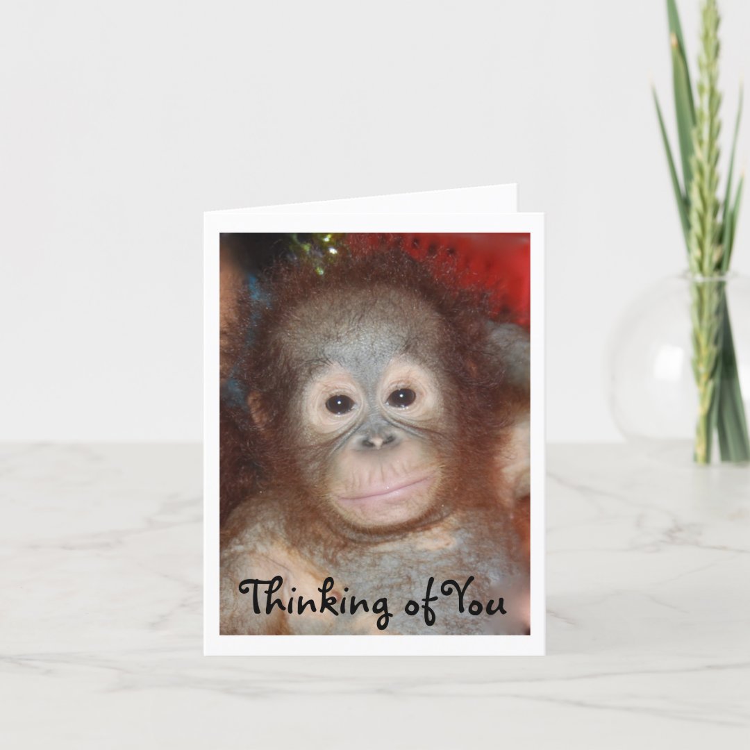 Missing You Sad Face Baby Animal Card | Zazzle