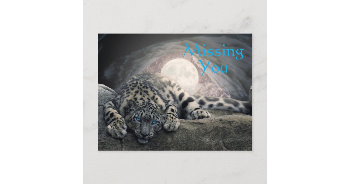 Missing You Snow Leopard Postcard | Zazzle