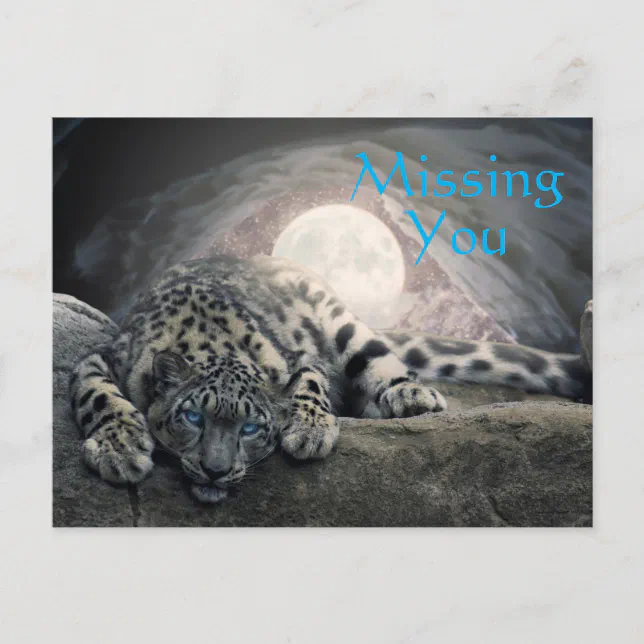 Missing You Snow Leopard Postcard | Zazzle