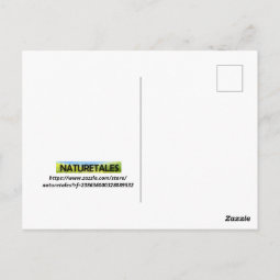 Missing You Snow Leopard Postcard | Zazzle