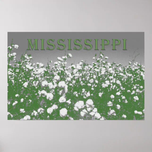 Mississippi Cotton Poster | Zazzle