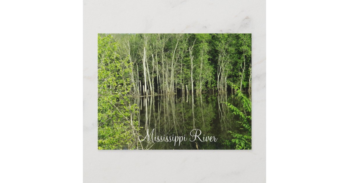 Mississippi River Postcard | Zazzle
