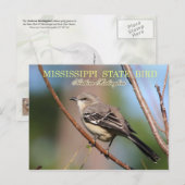 Mississippi State Bird - Northern Mockingbird Postcard | Zazzle