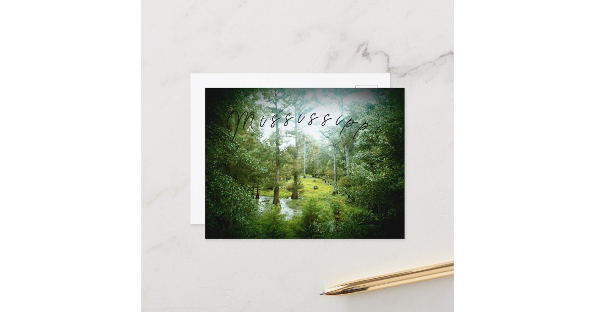 Mississippi Swamp - Postcard | Zazzle