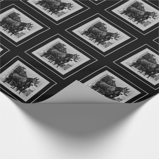 Missouri Mule Wrapping Paper | Zazzle