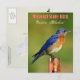 Missouri State Bird - Eastern Bluebird Postcard | Zazzle