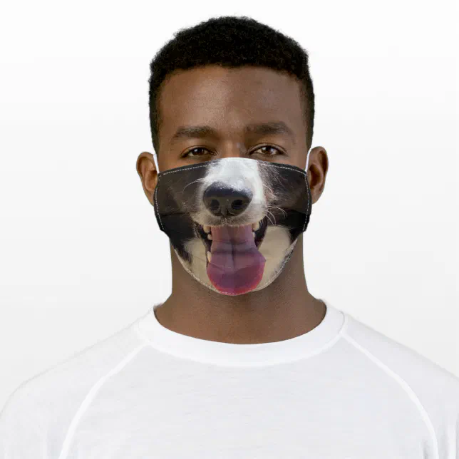Missy 2 Border Collie Dog Adult Cloth Face Mask | Zazzle