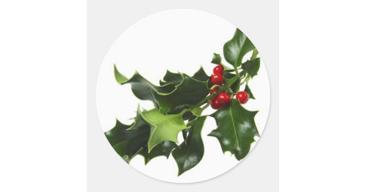 Mistletoe Classic Round Sticker | Zazzle