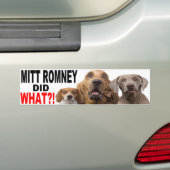 MITT ROMNEY DID WHAT?! Dog On Roof BUMPER STICKER | Zazzle