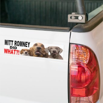 MITT ROMNEY DID WHAT?! Dog On Roof BUMPER STICKER | Zazzle