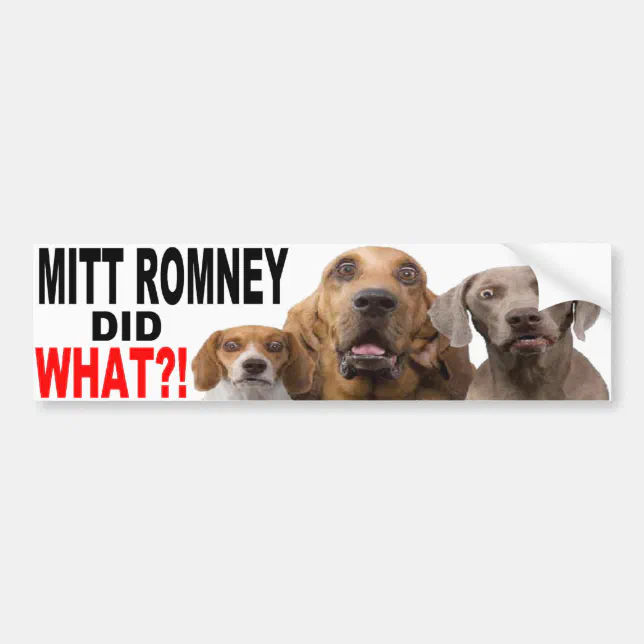 MITT ROMNEY DID WHAT?! Dog On Roof BUMPER STICKER | Zazzle