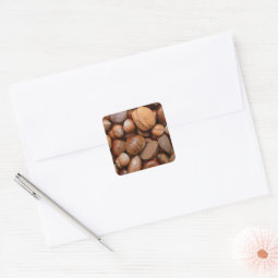 Mixed nuts square sticker | Zazzle