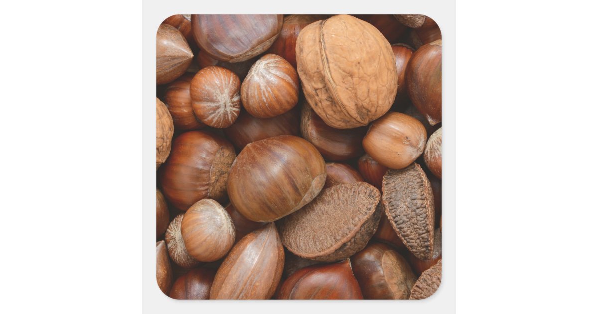Mixed nuts square sticker | Zazzle