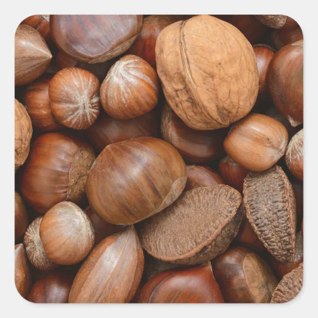 Mixed nuts square sticker | Zazzle