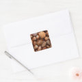Mixed nuts square sticker | Zazzle