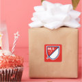 MLS Soccer sticker | Zazzle