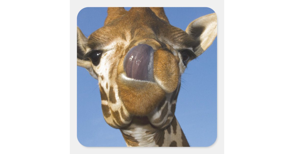 Mmmm Mmmmm Good Square Sticker | Zazzle