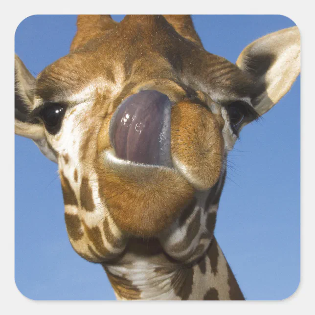 Mmmm Mmmmm Good Square Sticker | Zazzle