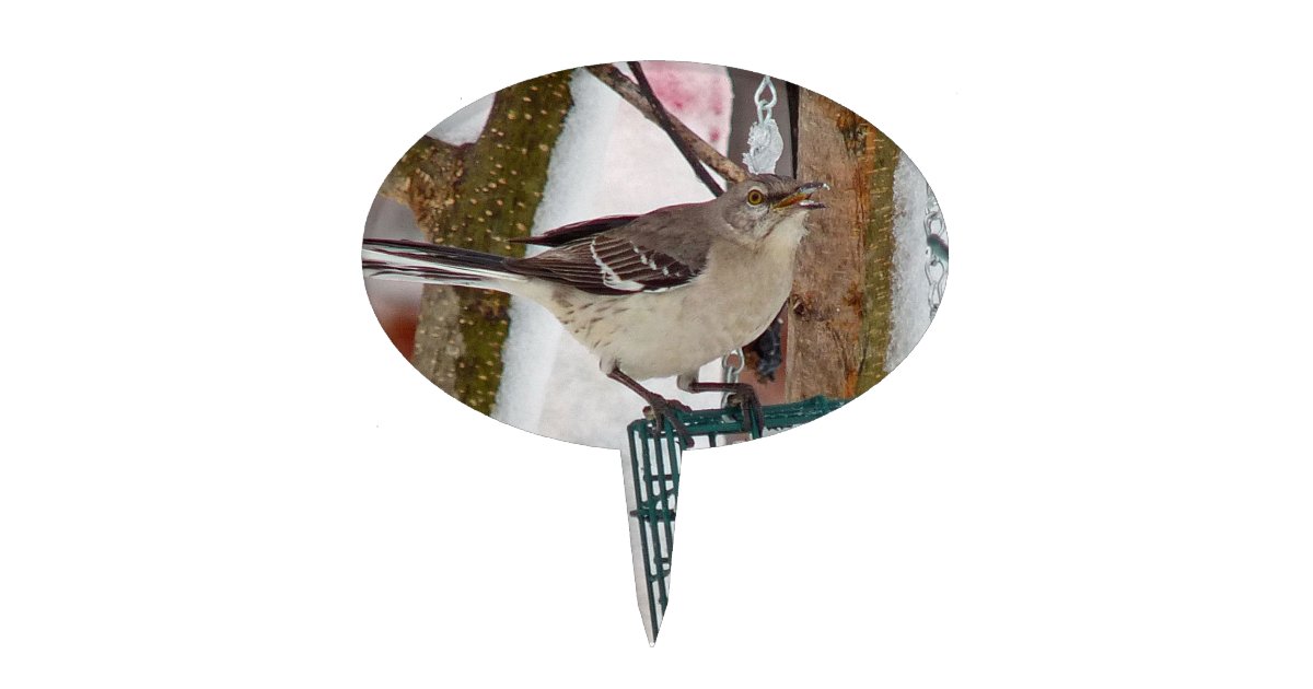 Mockingbird Cake Topper | Zazzle