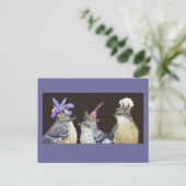 Mockingbird family postcard | Zazzle