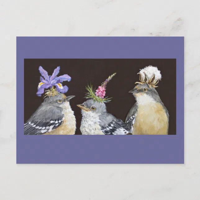 Mockingbird family postcard | Zazzle