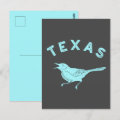 Mockingbird Texas State Bird Aqua Blue and Gray Postcard | Zazzle