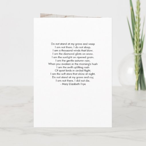 Modern 3-Photo Handwritten Script Folded Funeral Program | Zazzle
