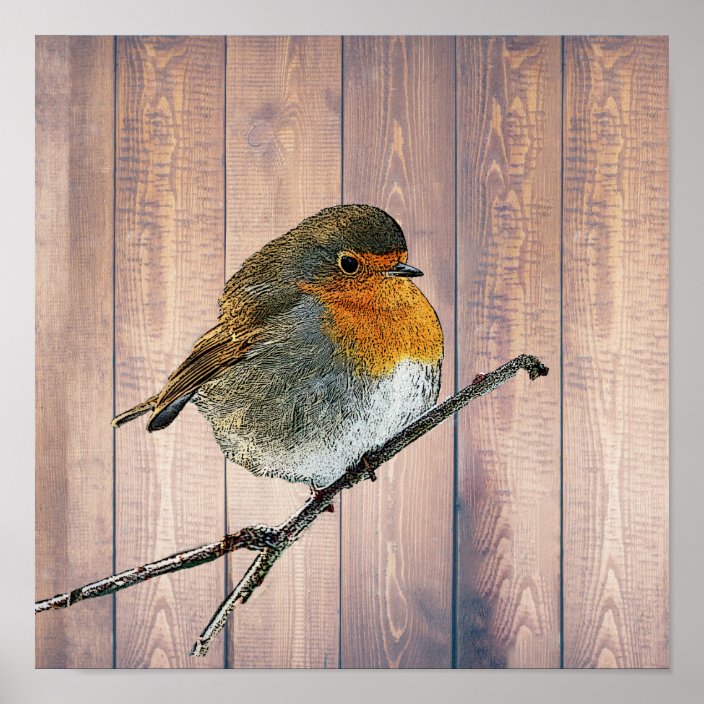 Modern abstract Robin bird on rustic barn wood Poster | Zazzle.com