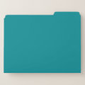Modern And Minimalist Teal File Folder | Zazzle