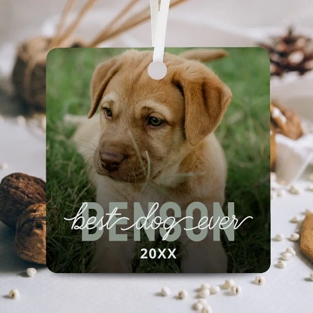 Modern Best Dog Ever Pet Photo Metal Ornament | Zazzle