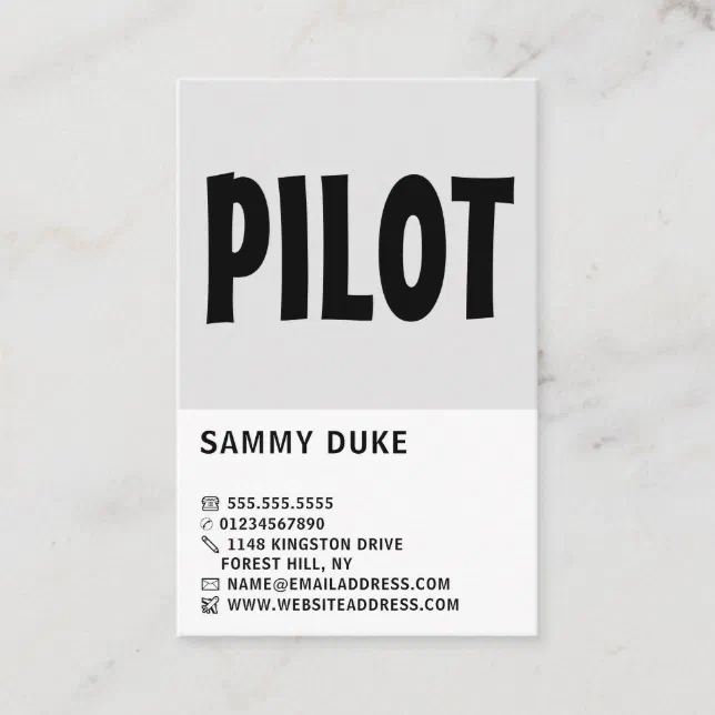 Modern Bold, Flight Steward & Pilot Business Card | Zazzle