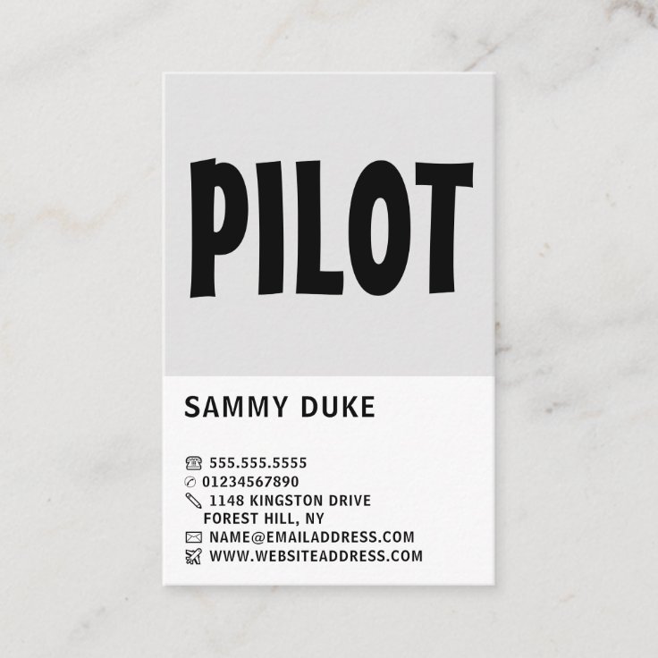 Modern Bold, Flight Steward & Pilot Business Card | Zazzle