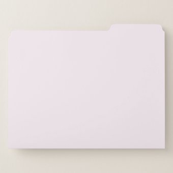 Modern Chic Simple File Folder | Zazzle